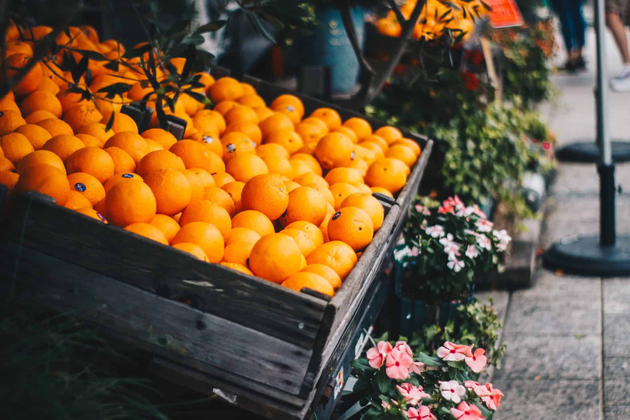 Why Are Mangoes So Expensive In Japan? - Japan Truly