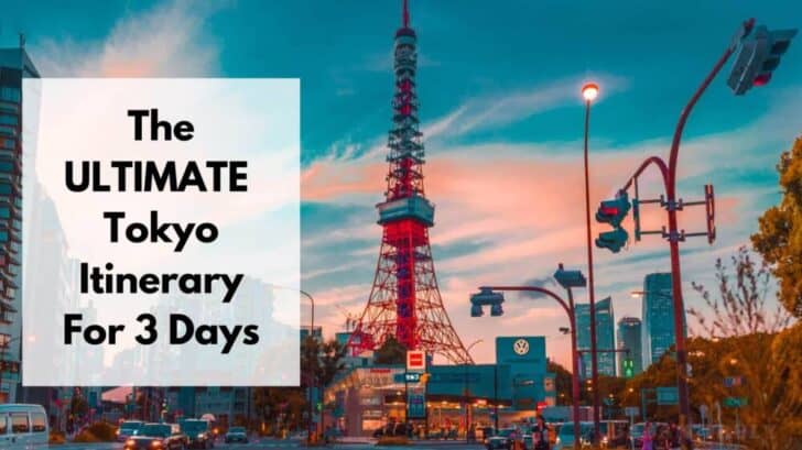 Itinerario de 3 días en Tokio para el invierno de 2024 - Japan Truly