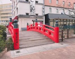 15 Best Things To Do In Kochi, Japan | Reasons To Visit Kochi, Japan ...