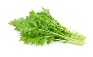 List of Japanese Vegetables | 22 Healthy Veggies from Japan To Try ...