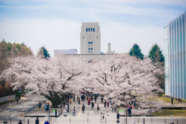 12 Best Universities In Japan For Engineering 2025 With Ranking – Japan ...