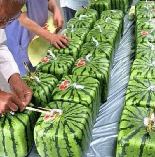 6 Reasons Why Japan Does Watermelon Better: It's Different – Japan Truly