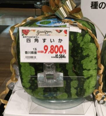 6 Reasons Why Japan Does Watermelon Better: It's Different – Japan Truly