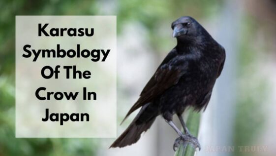Karasu Simbología Del Cuervo En Japón - Japan Truly