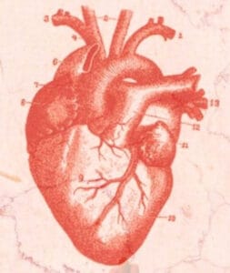 Significado de Kokoro | Una palabra japonesa que combina corazón, mente ...