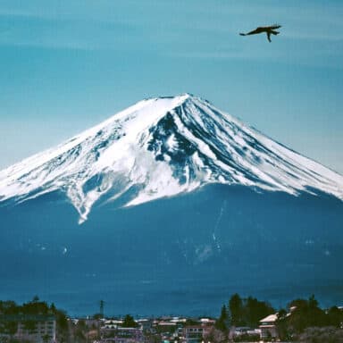Is Japan Humid? – Japan Truly