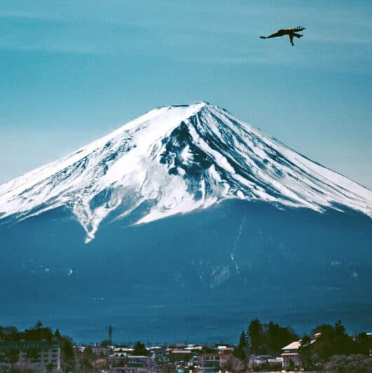 Is Japan Humid? – Japan Truly