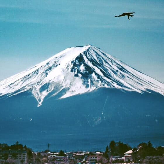 Is Japan Humid? – Japan Truly