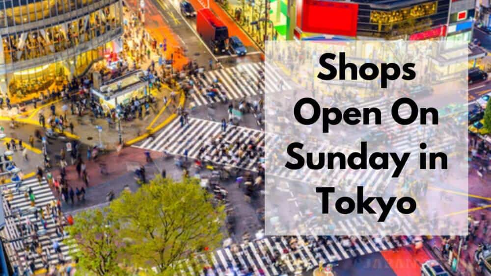 Cómo comprar entradas para un partido de sumo en Tokio: Una guía ...