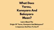 ¿Qué significan Yarou, Konoyaro y Bakayaro? - Japón Verdadero