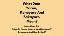 Yarou, Konoyaro和Bakayaro是什么意思？- 日本真正的