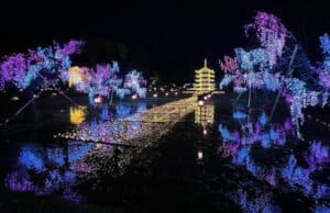 Is Visiting Japan In January Worth It? | 10 Reasons To Visit Japan In ...