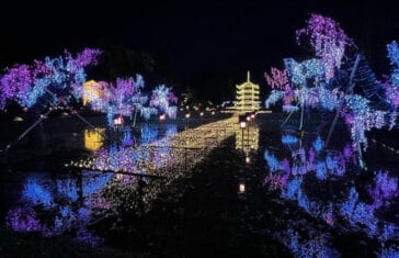 Is Visiting Japan In January Worth It? | 10 Reasons To Visit Japan In ...