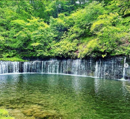 Is Japan Humid? – Japan Truly