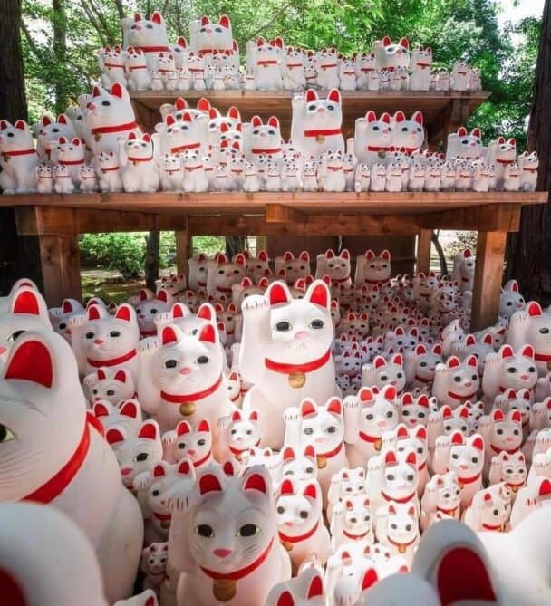 ¿Qué es Neko? | Los gatos en Japón y por qué los japoneses los adoran ...