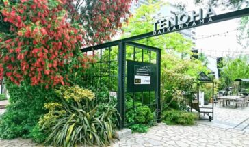 18 Things To Do in Daikanyama 2026 | Guide to Tokyo's Little Brooklyn ...