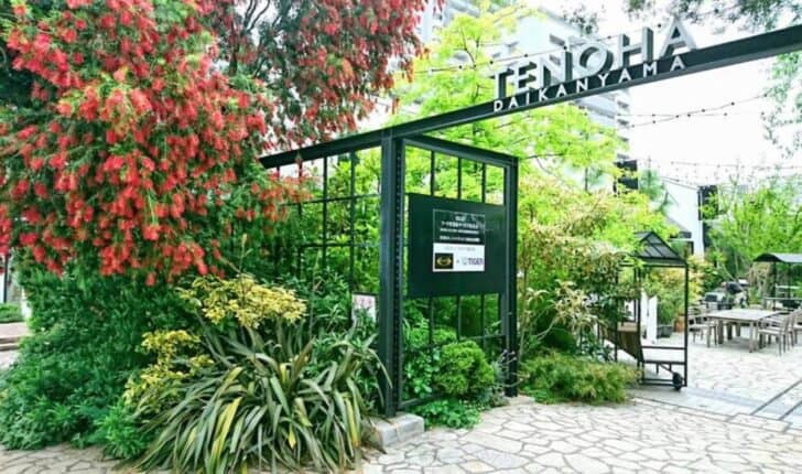 18 Things To Do in Daikanyama 2026 | Guide to Tokyo's Little Brooklyn ...