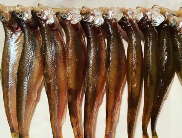 10 Most Popular Types Of Fish Consumed In Japan - Japan Truly