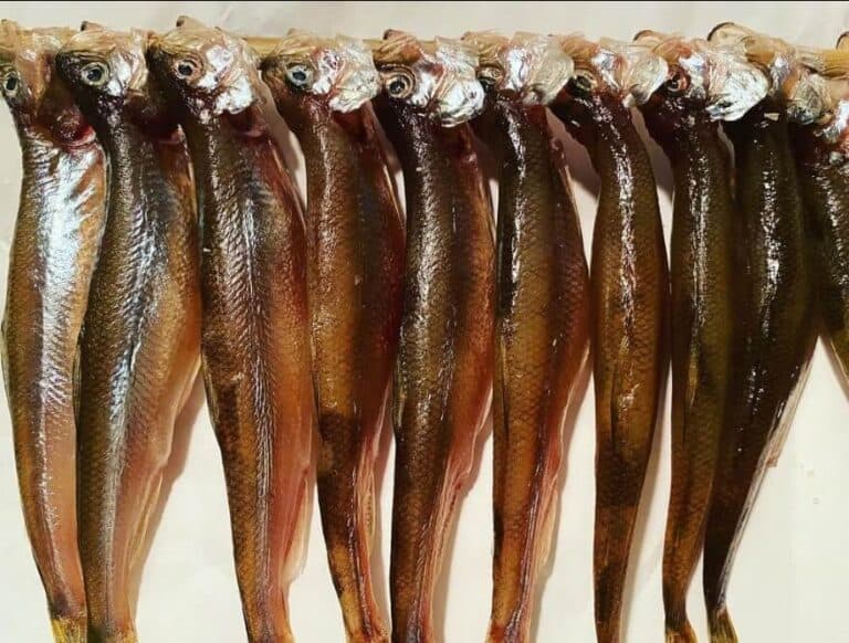 10 Most Popular Types Of Fish Consumed In Japan - Japan Truly