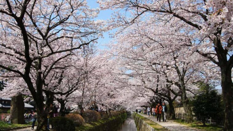 Lugares japoneses para visitar por primera vez en Japón | ¡Itinerario ...