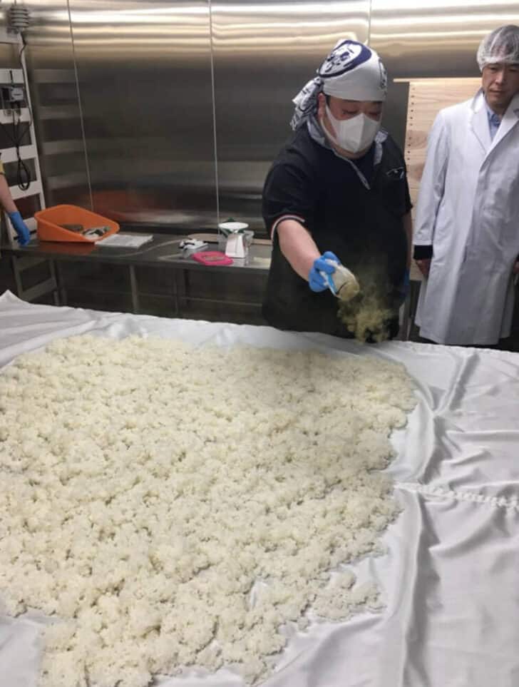 5 Types Of Sake You Should Try In Japan – Japan Truly