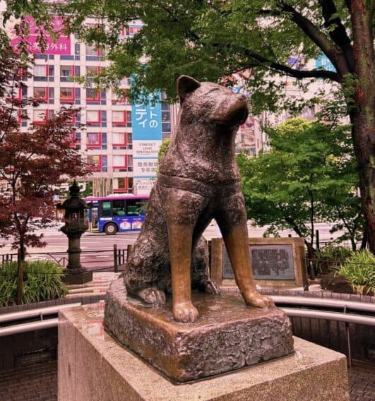 La estatua del perro Hachiko se apodera de Shibuya con una exposición pop-up en su dormitorio ...