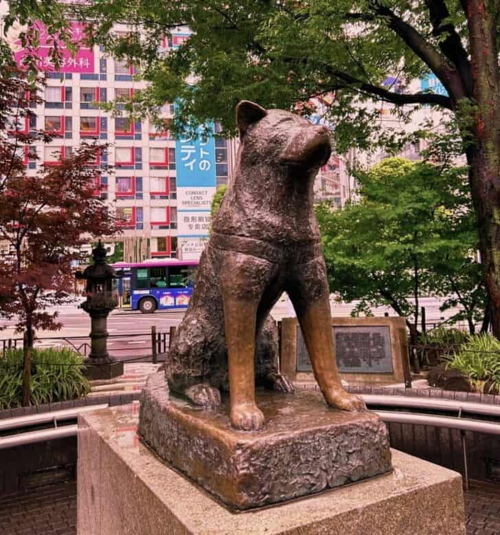 La estatua del perro Hachiko se apodera de Shibuya con una exposición pop-up en su dormitorio ...