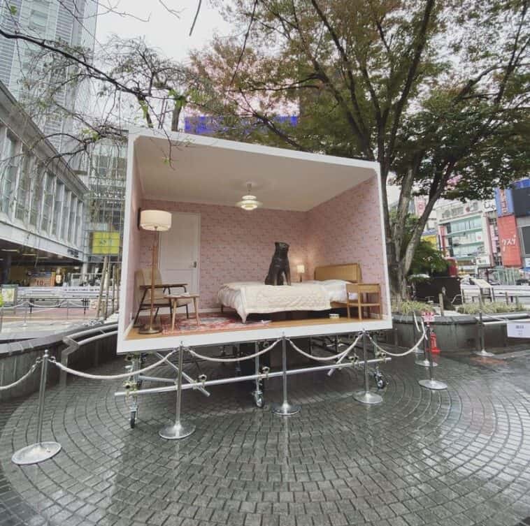 La estatua del perro Hachiko se apodera de Shibuya con una exposición pop-up en su dormitorio ...