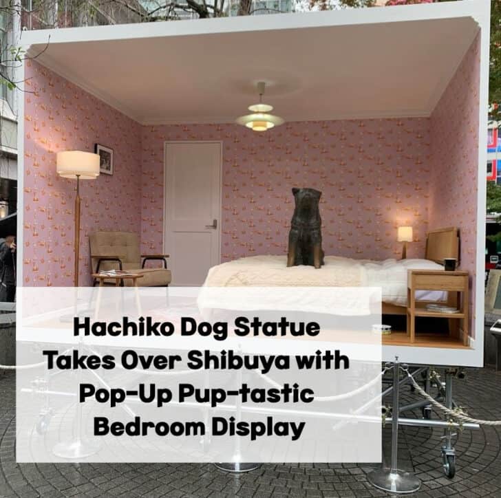 La estatua del perro Hachiko se apodera de Shibuya con una exposición pop-up en su dormitorio ...