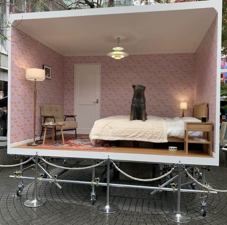 La estatua del perro Hachiko se apodera de Shibuya con una exposición pop-up en su dormitorio ...