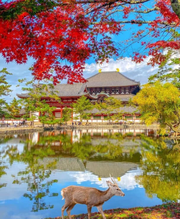 10 Best Historical Sites To Visit In Japan – Japan Truly