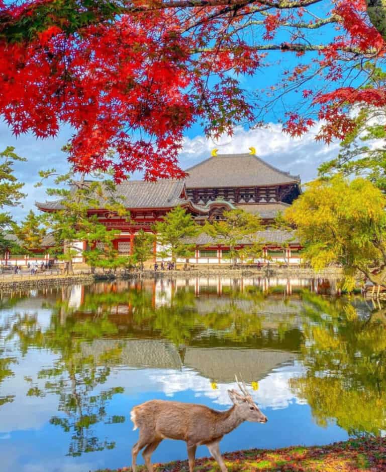 10 Best Historical Sites To Visit In Japan – Japan Truly