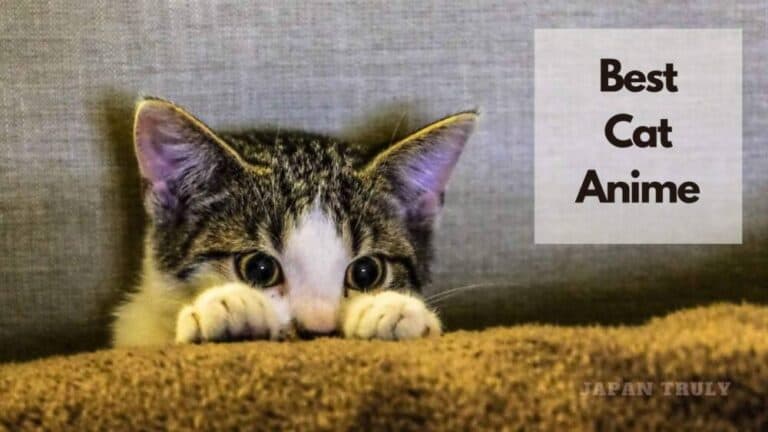 12 Must-watch Cat Anime For Cat Lovers 2024 | Favorite Anime Cats Of ...