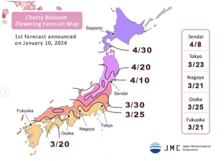 Updated Cherry Blossom In Japan Forecast 2025: Peak Blooms Predicted D – Japan Truly