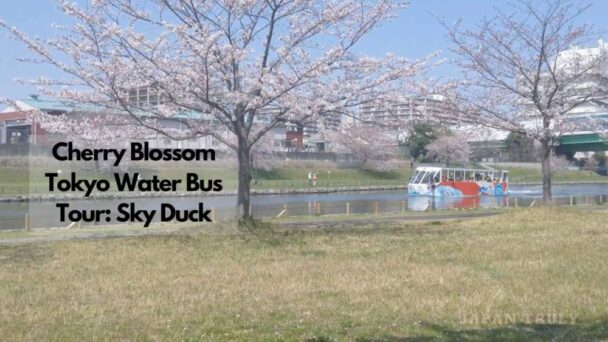 Tour en autobús acuático por Tokio: Explore los cerezos en flor de ...
