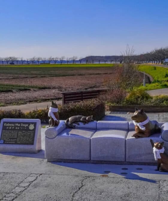 Japan Pays Tribute To Original Doge Meme Dog: Celebrating an Internet ...