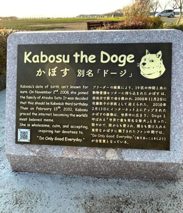 Japan Pays Tribute To Original Doge Meme Dog: Celebrating an Internet ...