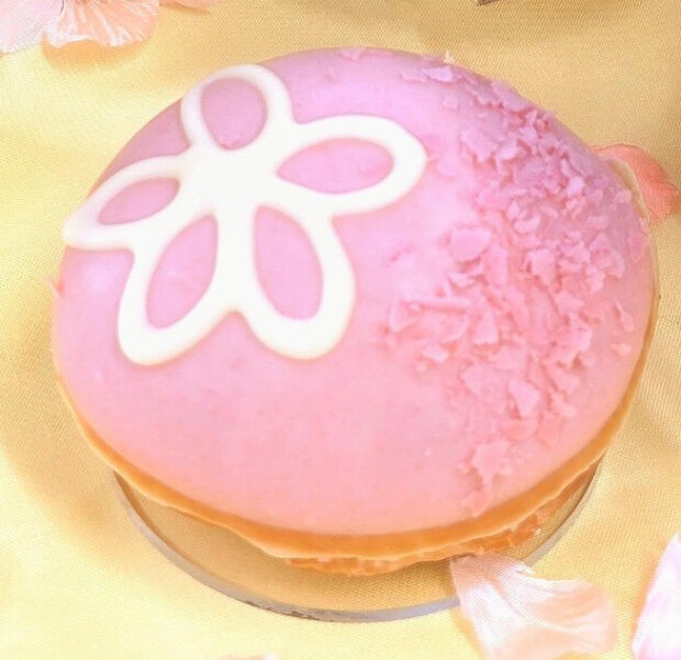 Krispy Kreme Japan Reveals Sakura Donuts: A Seasonal Delight Unveiled – Japan Truly