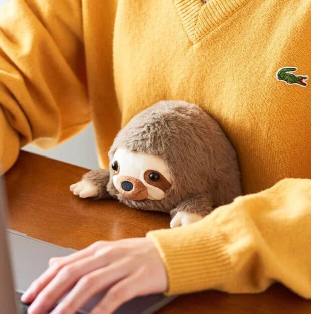Are You a Sloucher? Discover How a Furry Friend Can Improve Your Desk ...
