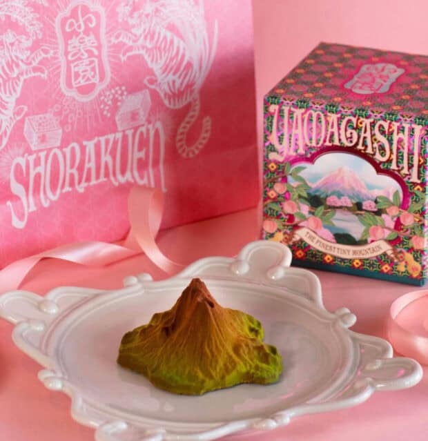 Mt Fuji Chocolate Cake: A Sweet Summit of Flavor – Japan Truly